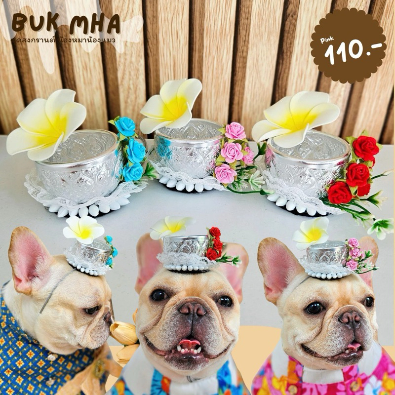 Silver Bowl Head Songkran Festival For Dogs And Cats | Shopee Philippines