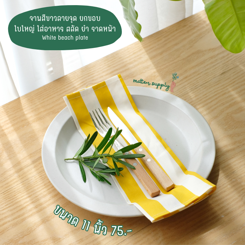 White beach plate Ceramic Raised Edge For Salad Topping Restaurant Cafe ...