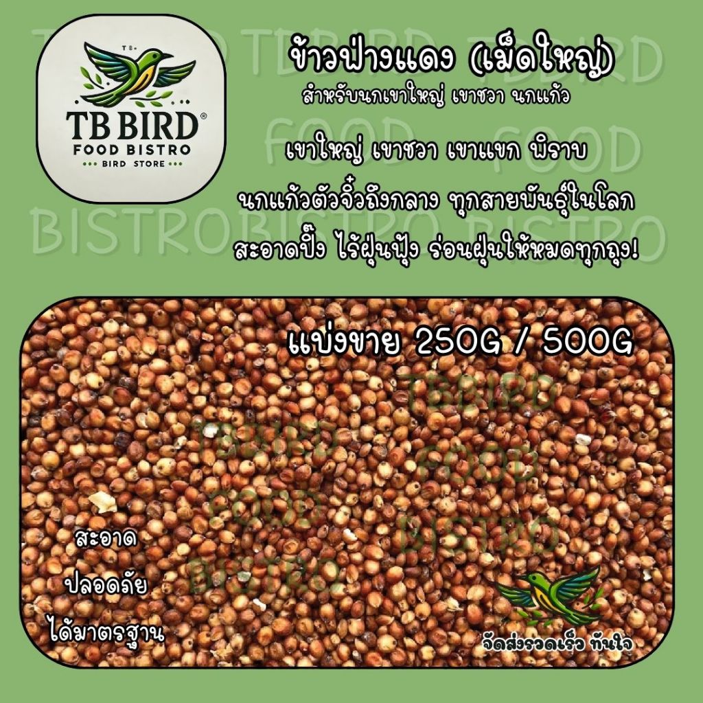 Red Millet Bird Food Hamster Big Horn Khao Chawa Parrot Clean Sifted ...