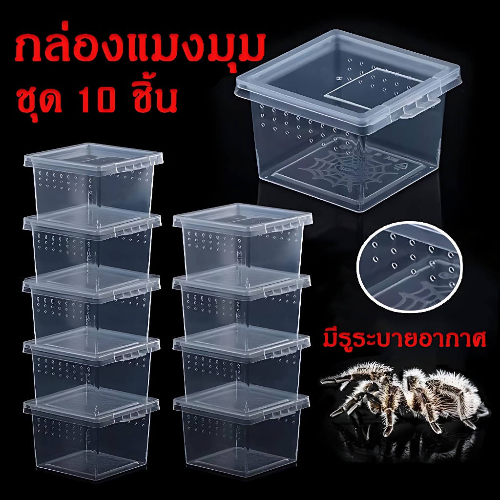 Spider Box Insect Box 10pcs Set Small Size Plastic With Vent Hole ...