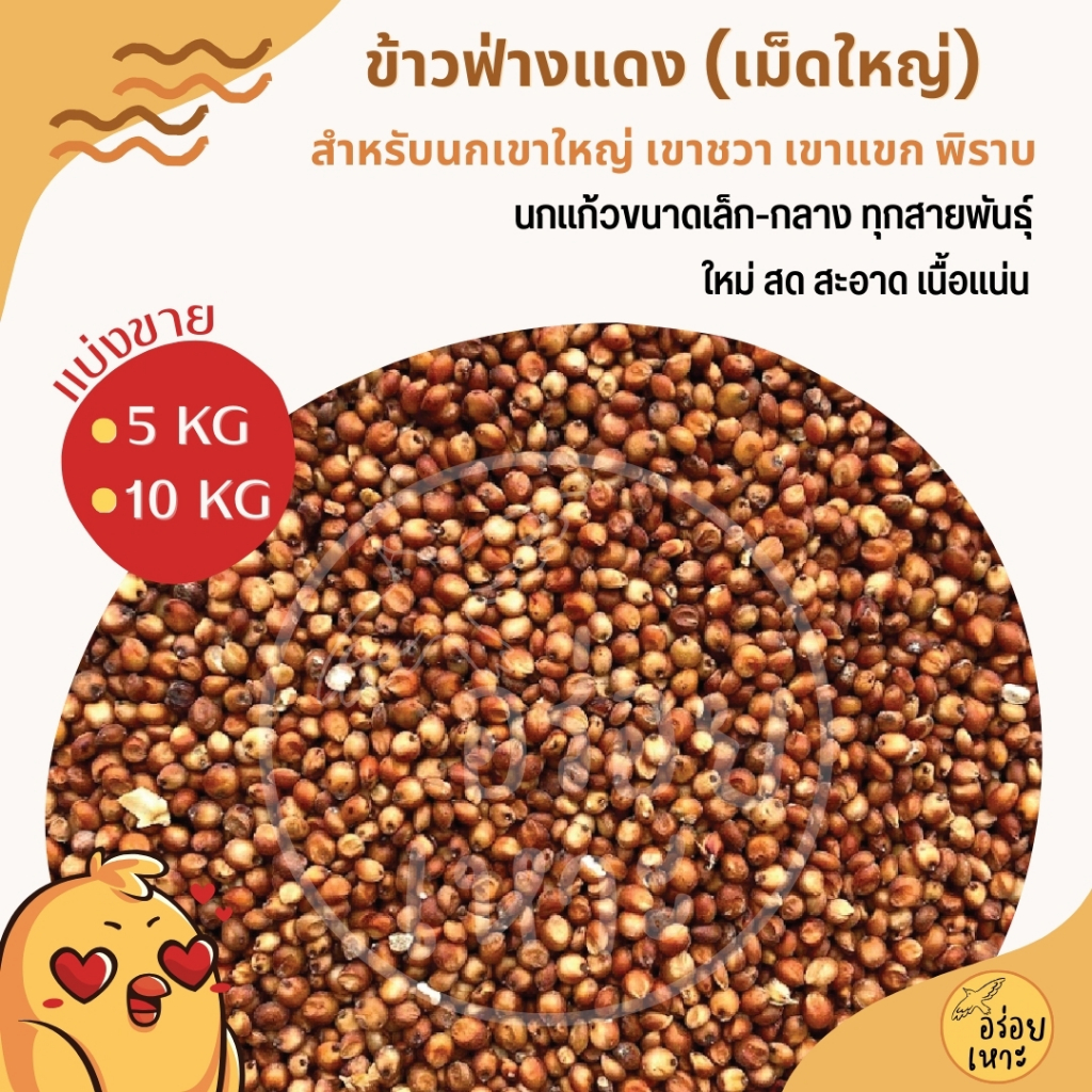 Red Millet Bird Food Hamster Big Dove Khao Chawa Parrot (5KG/10KG ...