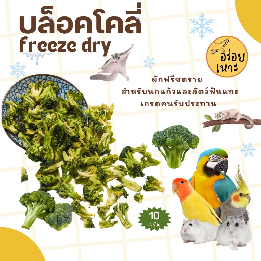 Blockcoly Freeze Dried Sugar Parrot Food Rider Hamster And Rodents (20G ...