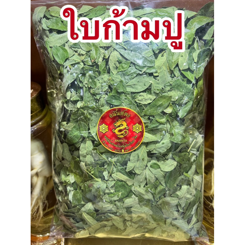 Crab Claw Leaves Chamchuri Chamcha Tree Beautiful Green New Clean Dried ...