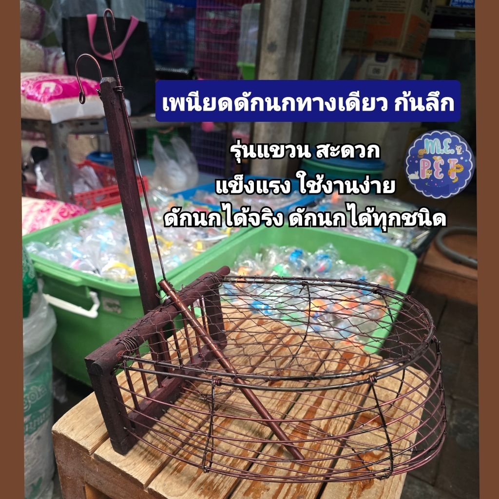 Bird Catcher One-Way Deep Bottom Can Be Used To Catch All Types Of ...