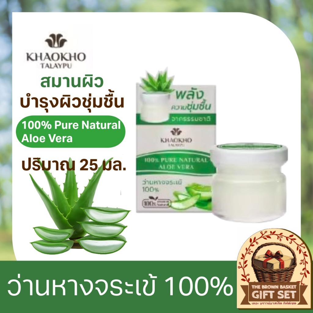 Khaokho Talaypu Khao Kho Talay Phu Aloe Vera 1 Can Be Applied To The ...