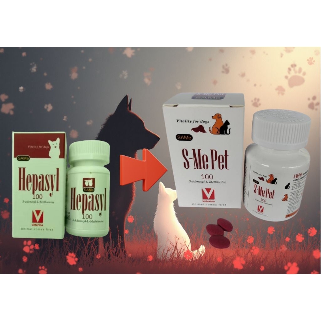 Hepasly => S-Me Pet SAMe 100 30 Tablets Nourishes The Liver | Shopee ...