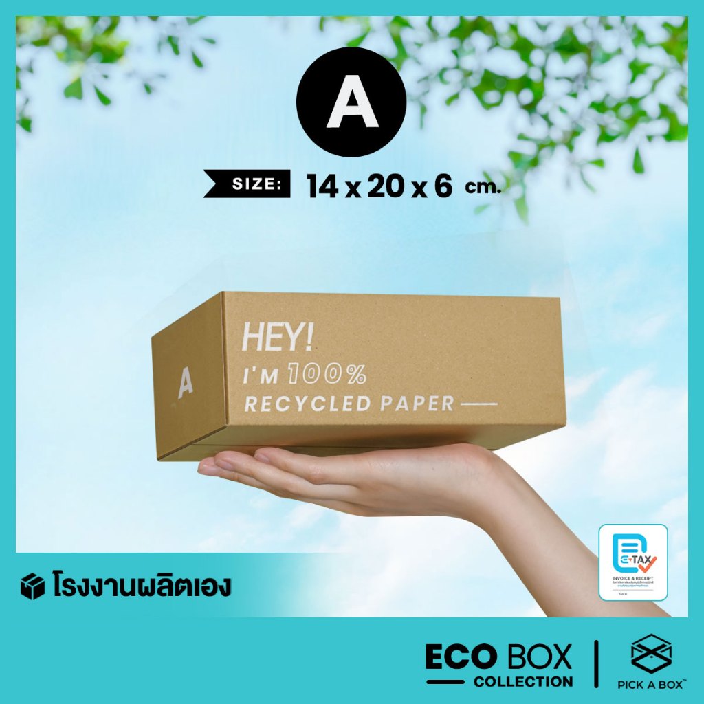 ECO BOX (Size A)-20 Pieces: ECO-Friendly Parcel Made From Recycled Wood ...