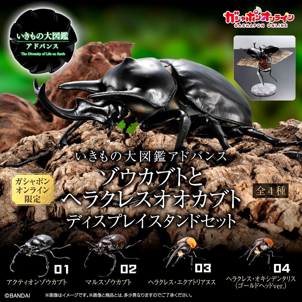 Gashapon Bandai Premium Big Size Hercules Beetle Action Vol.01 Animal Model | Shopee Philippines