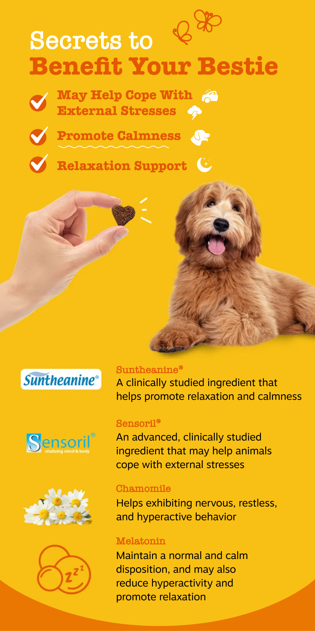 Zesty Paws Calming Bites with Suntheanine for Dogs Behavior [Turkey ...