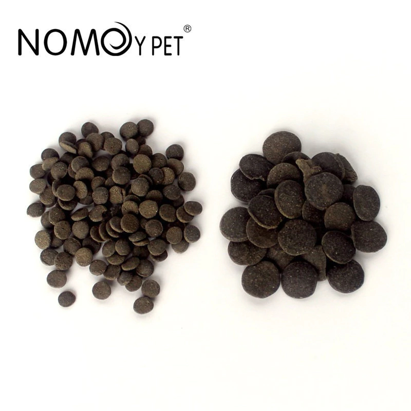 Pig-nosed turtle feed Sinking Food For Flying Pig Turtles Nose 500ml ...