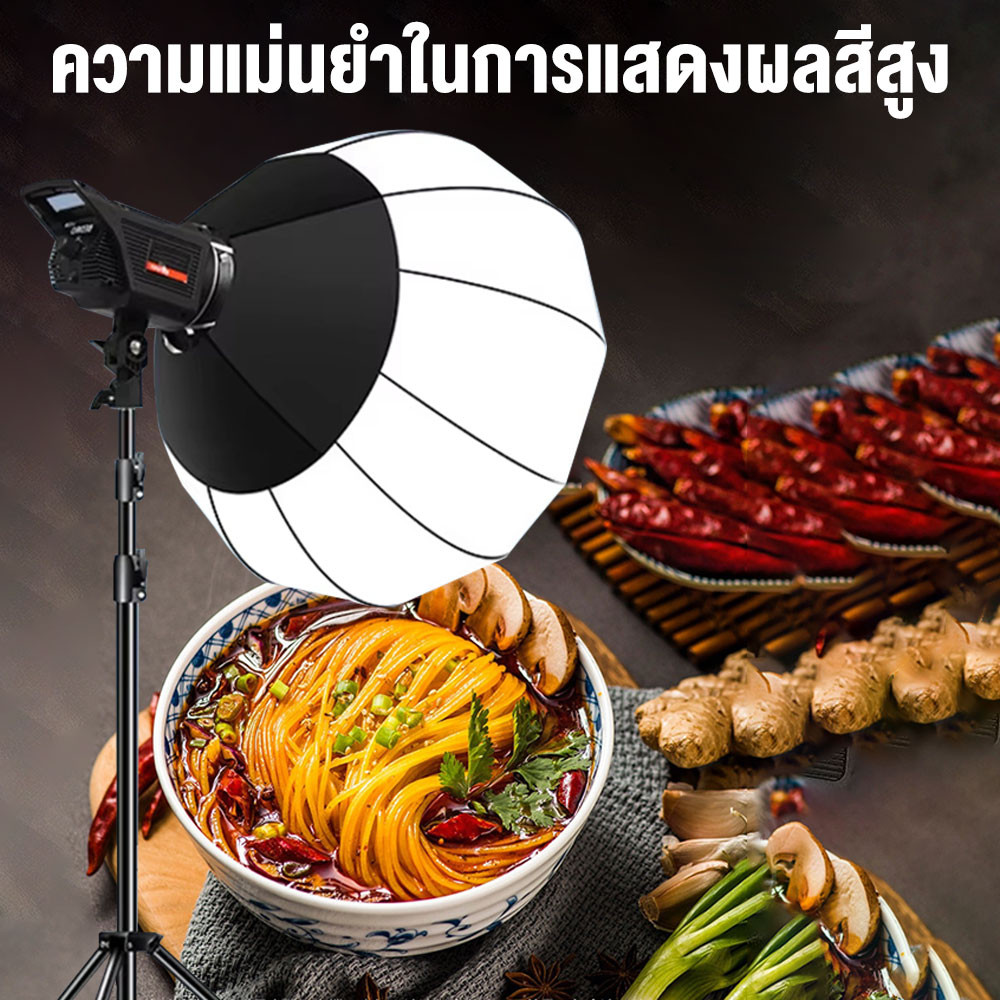 500W LED Photo Light Live Studio with 65cm Lantern Softbox & Stand ...