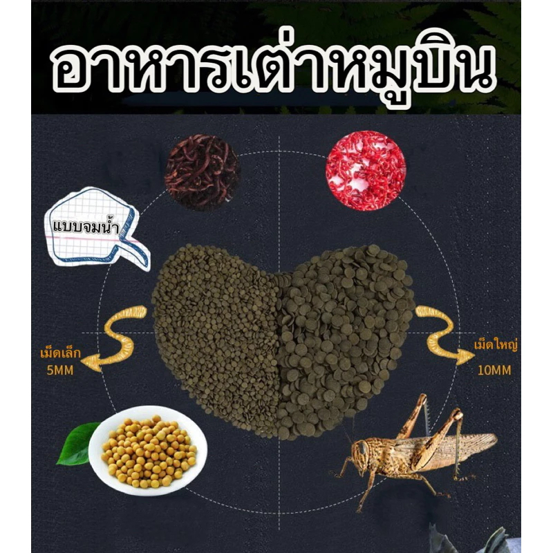 Pig-nosed turtle feed Sinking Food For Flying Pig Turtles Nose 500ml ...