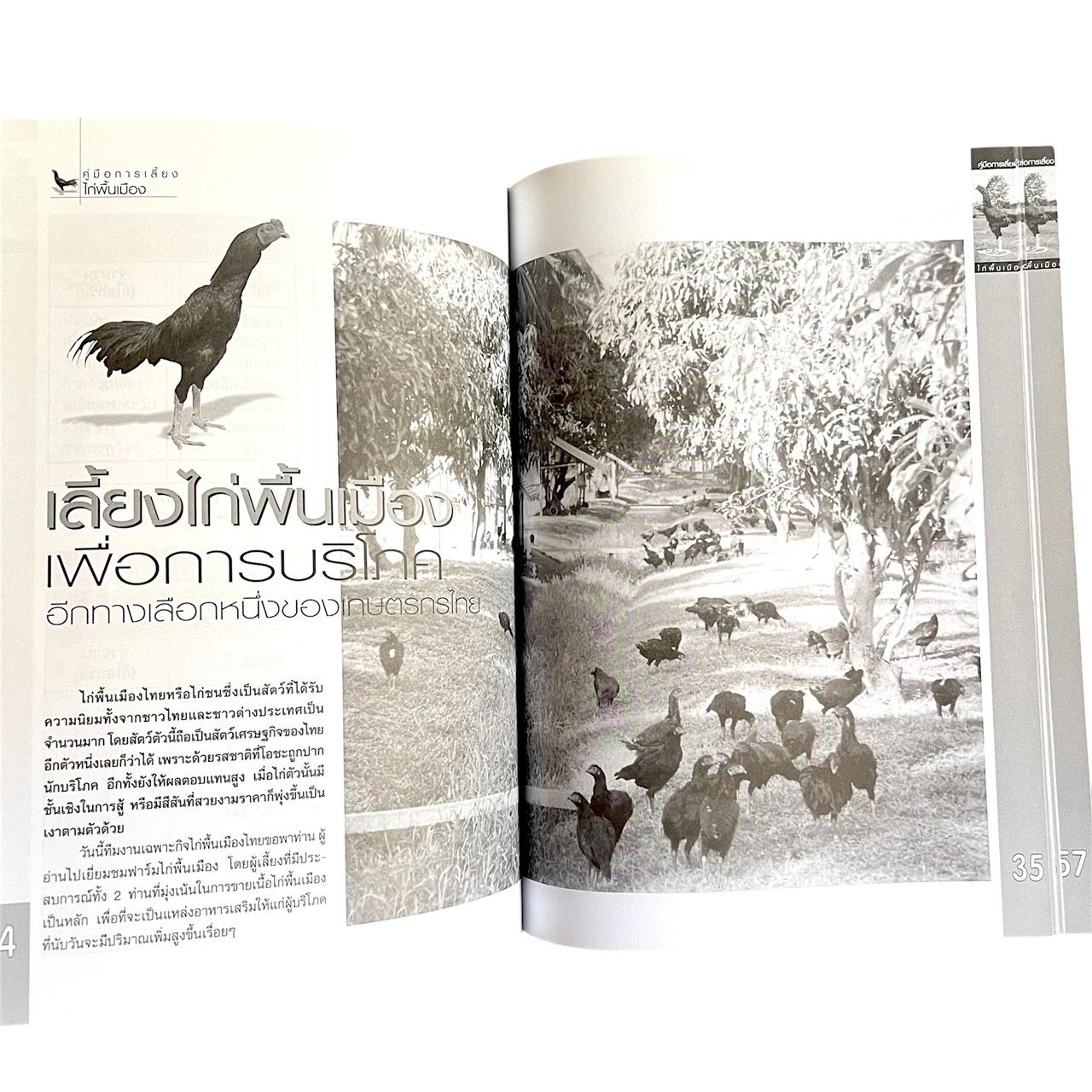 corcai Book Guide To Raising Native Chicken Fighting Professional ...