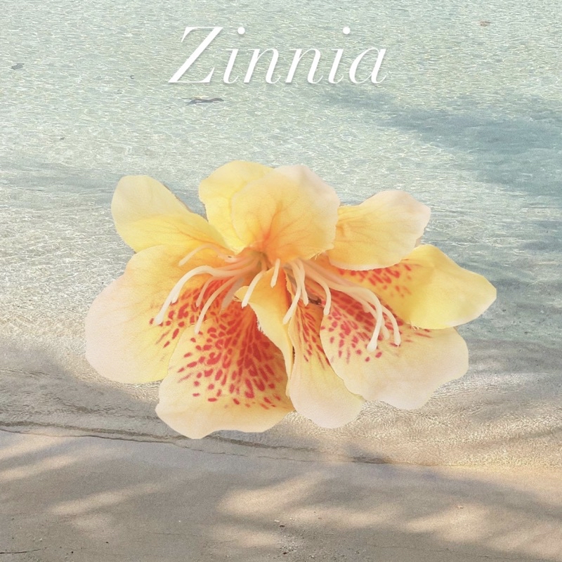 New ️ Orchid Flower Hair Clip flowers (Cut Off At 4:00 Pm) | Shopee ...