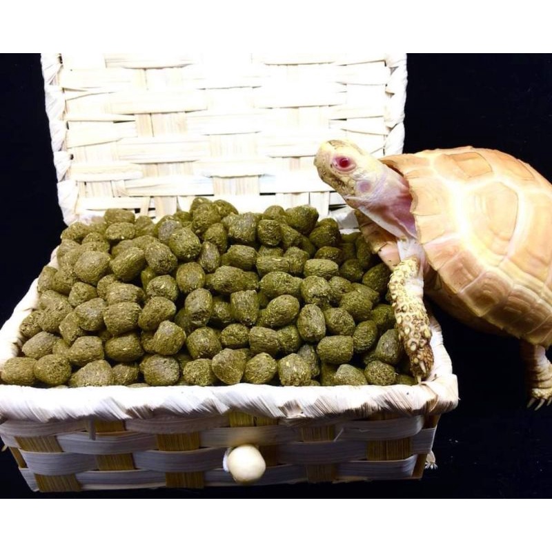 Tortoise Food T-balance Lot New Formula High Fiber With Polybiotics ...