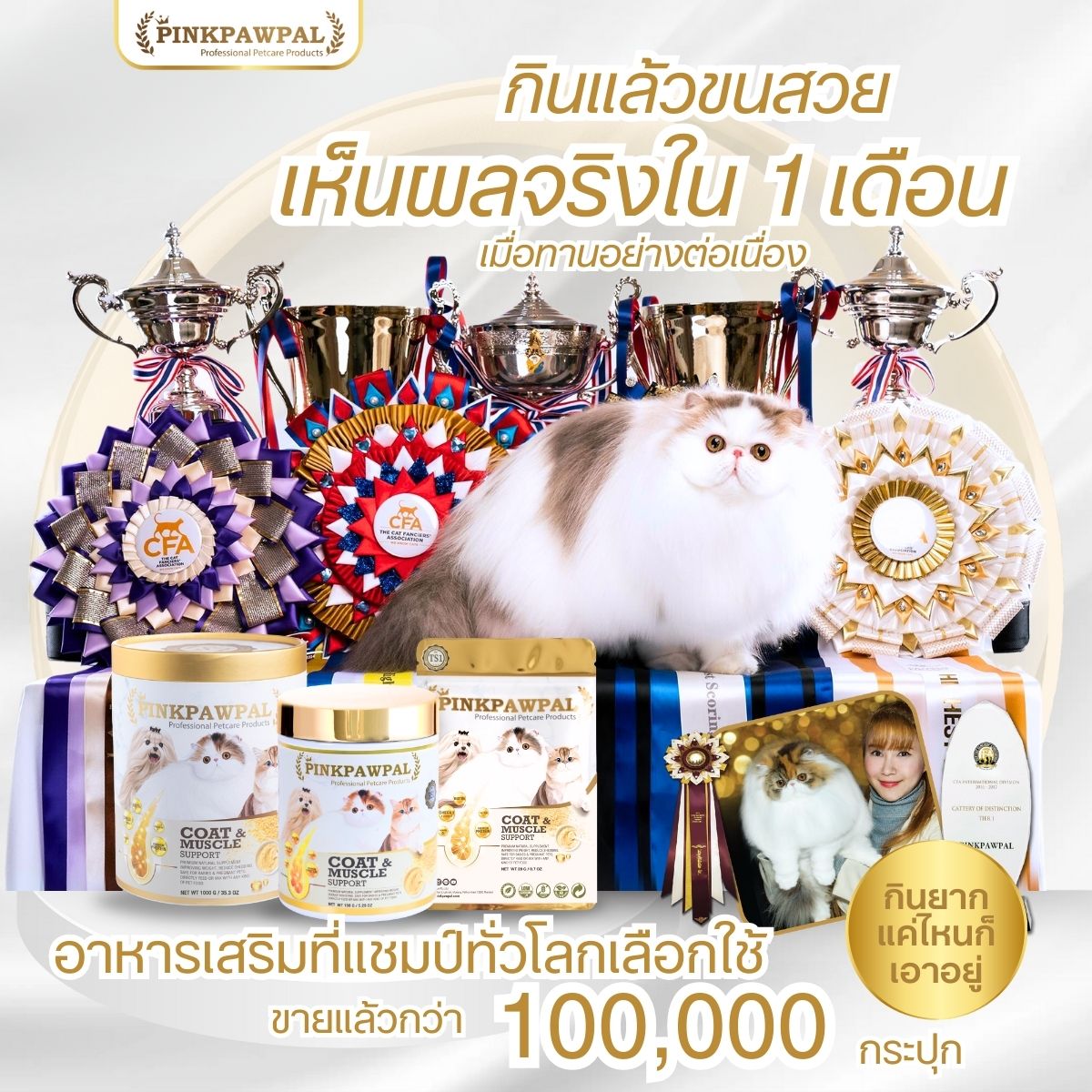 Pinkpawpal Weight Gain Supplement Nourishes Hair And Muscles (Gorgeous ...
