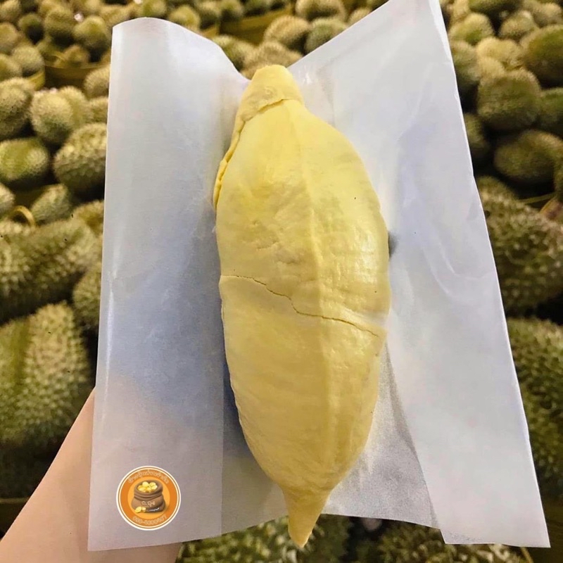 Durian Wrapping Paper 8*10 (500 Sheets) | Shopee Philippines