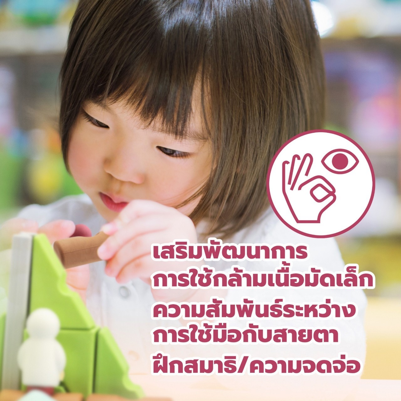 TaksaToys Skills Toys Resources Building Block Toy To Help Develop ...