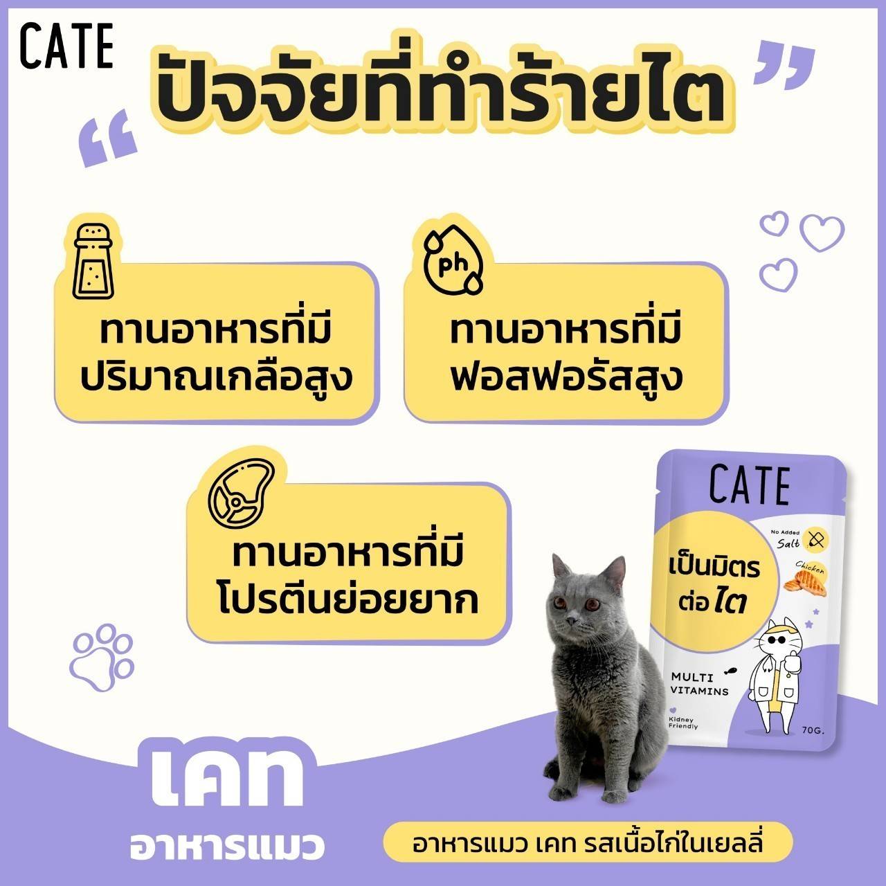 cate Cat Food Kidney Friendly Formula (2 Dozen) Sachet | Shopee Philippines