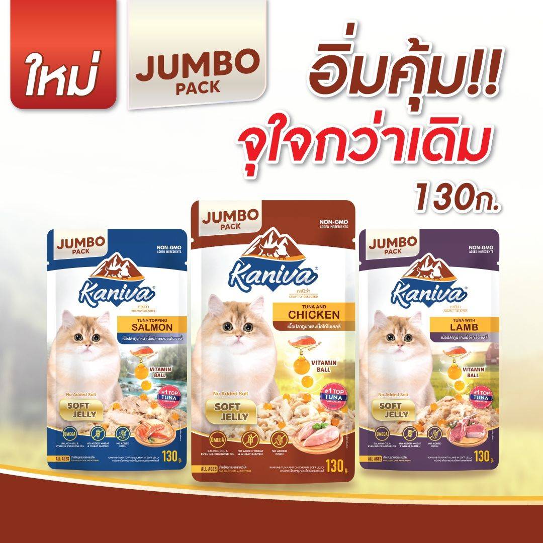 (Jumbo12 Packets) Kaniva Wet Cat Food (1 Box 12 Premium Grade Mixed ...