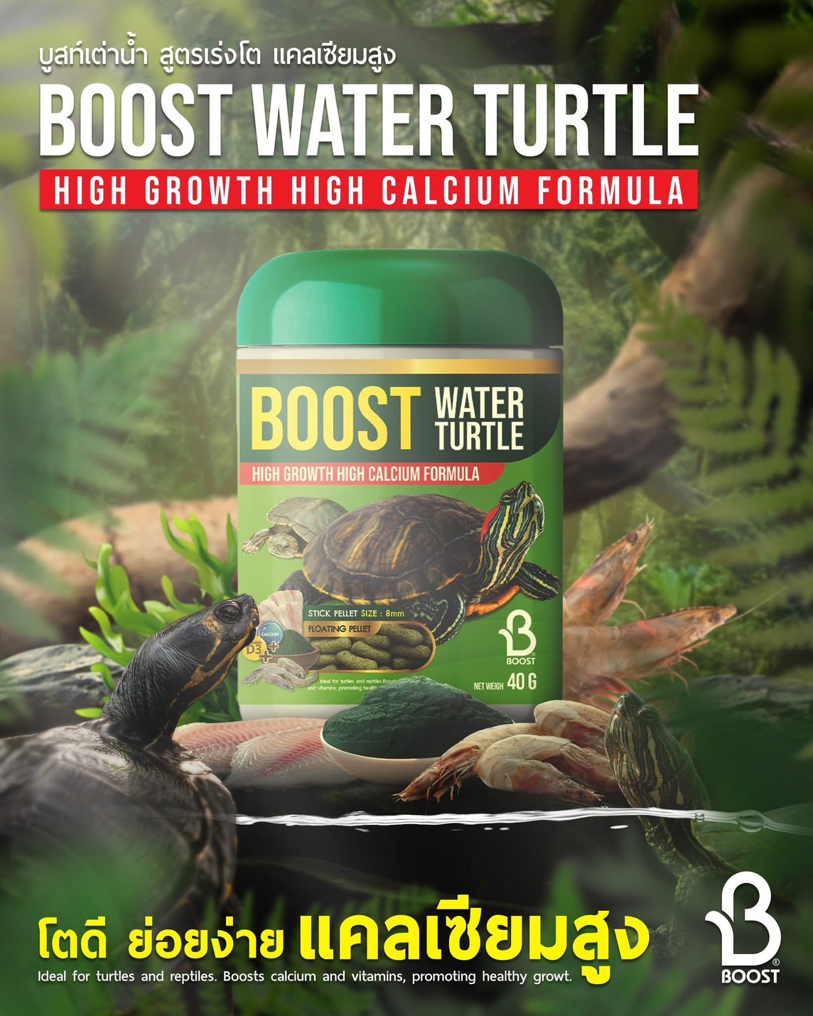 TURTLE Food BOOST WATER Japanese Natural Protein From Shrimp Calcium ...
