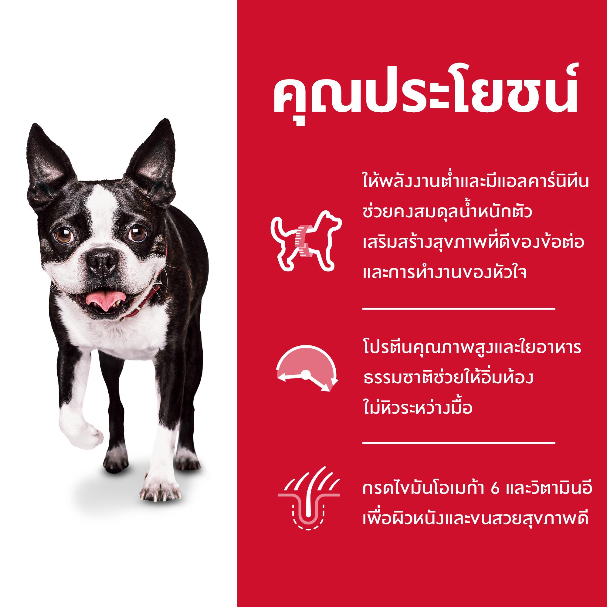 Hill's Science Diet Light Small Bites-Hill Breed Canine Breeds To Help ...