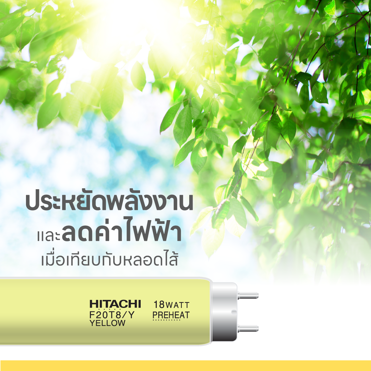 HITACHI Fluorescent T8 18watt (Yellow) | Shopee Philippines