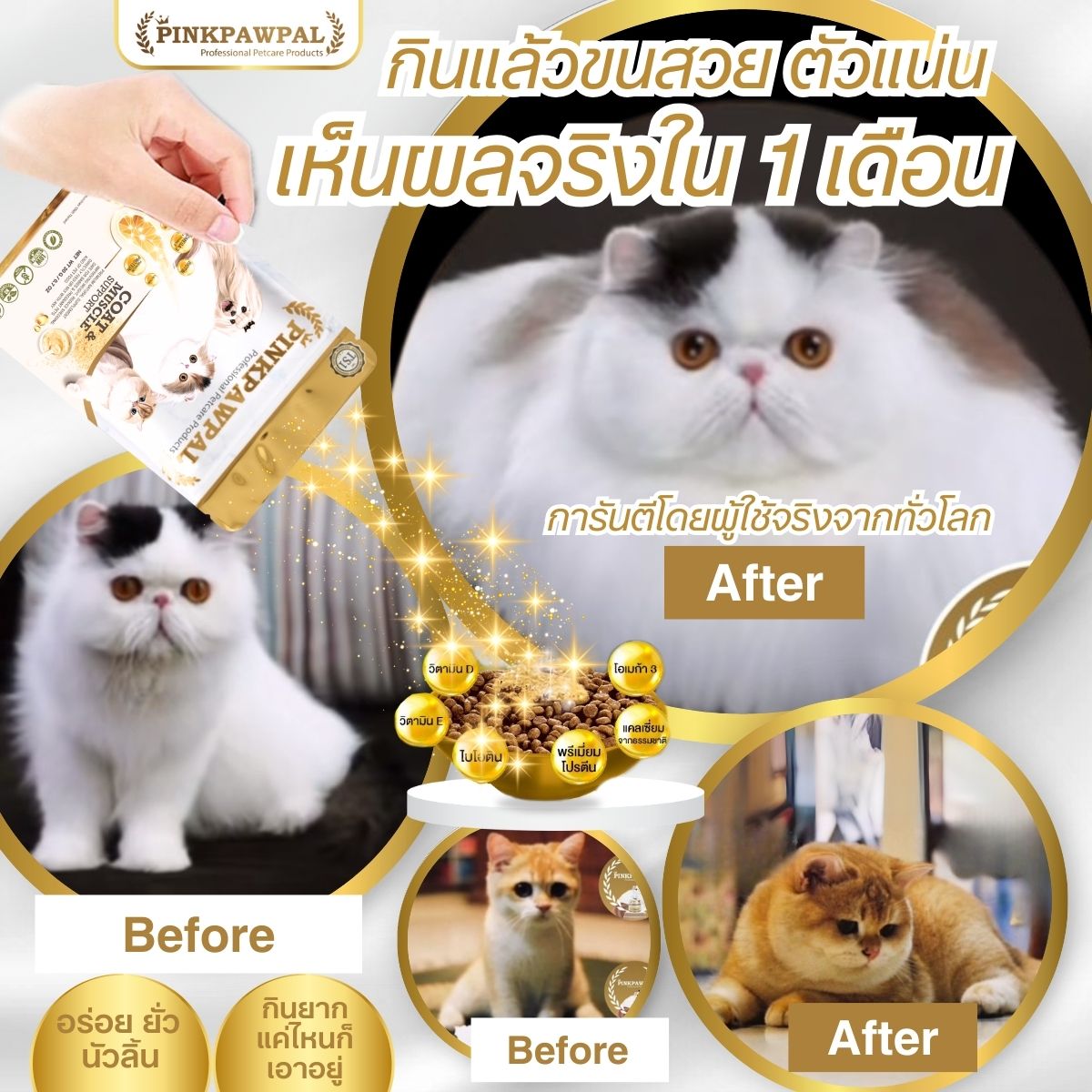 Pinkpawpal Weight Gain Supplement Nourishes Hair And Muscles (Gorgeous ...