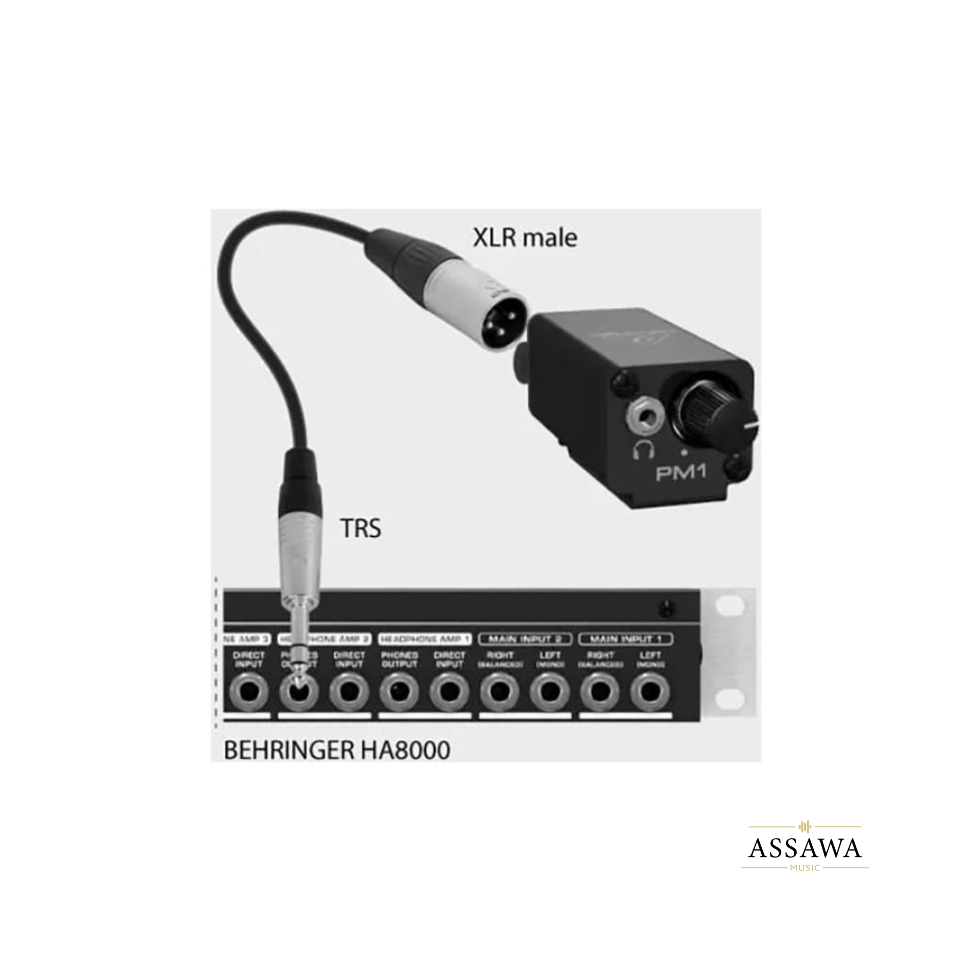 Behringer Powerplay PM1 In-Ear Monitor Belt-Pack | Shopee Philippines