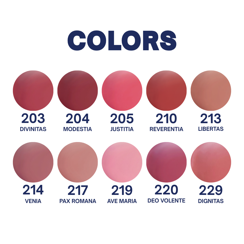 DINTO BLUR-GLOWY LIP TINT 203 Divinats 3.5g Toto [10 Shades] | Shopee Philippines