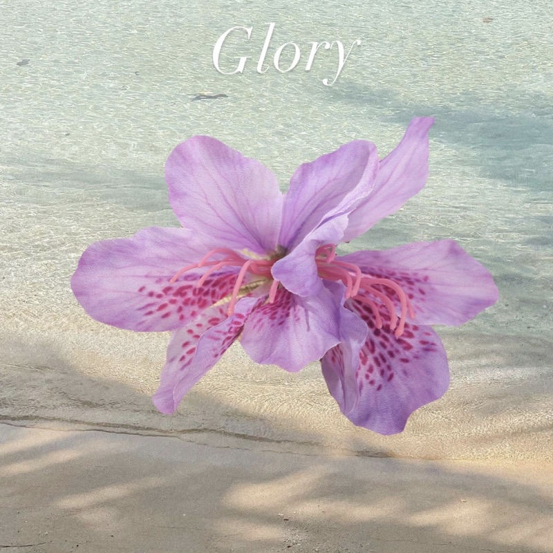 New ️ Orchid Flower Hair Clip flowers (Cut Off At 4:00 Pm) | Shopee ...