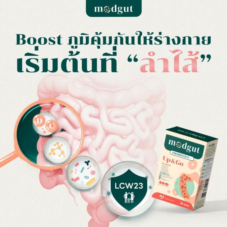Modgut Probiotics++ New Up & Go Formula Trial Set Of 7 Sachets Take 7 ...