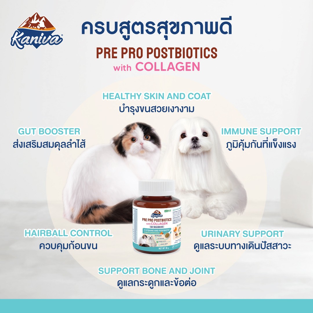 KANIVA PRE PRO POSTBIOTICS with COLLAGEN (3P) Supplement For Intestinal ...