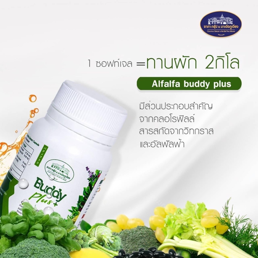 Alfalfa Buddy Plus Vegetable Seeds Chapha Group 1 Bottle 30 Tablets ...