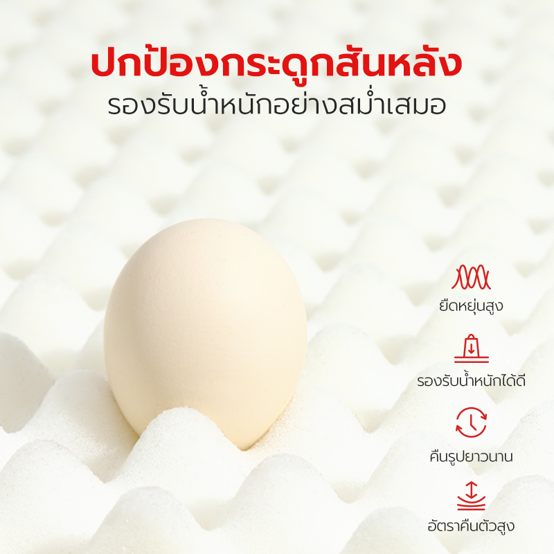 pet bed Machine Washable Soft Fiber Flexible Good Recovery Petus ...