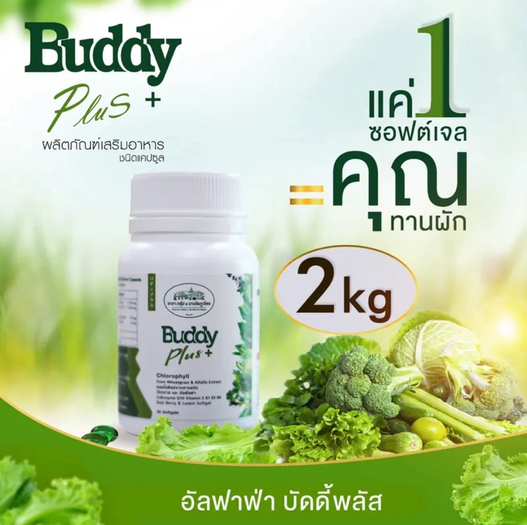 Alfalfa Buddy Plus Vegetable Seeds Chapha Group 1 Bottle 30 Tablets ...
