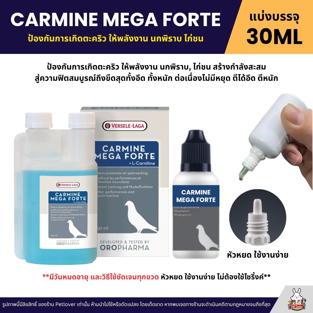 Carmine Mega Forte Prevents Cramps Provides Energy Pigeons Fighting ...