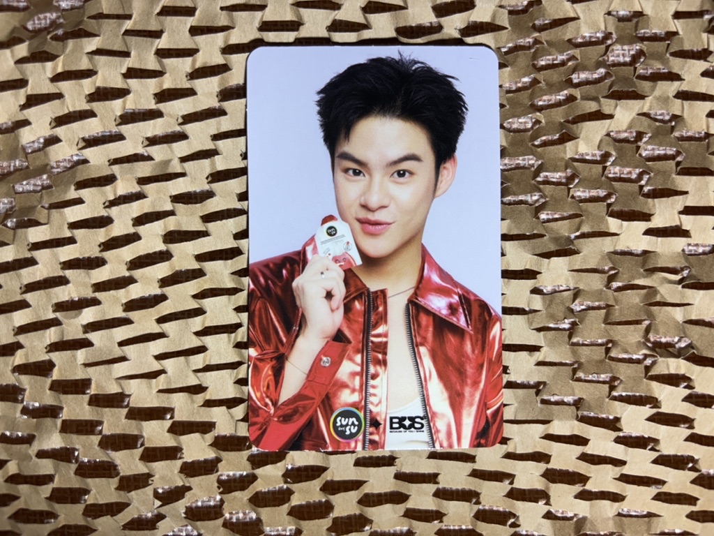 Collection Cards BUS And PIXXIE Artists From Sunsu | Shopee Philippines