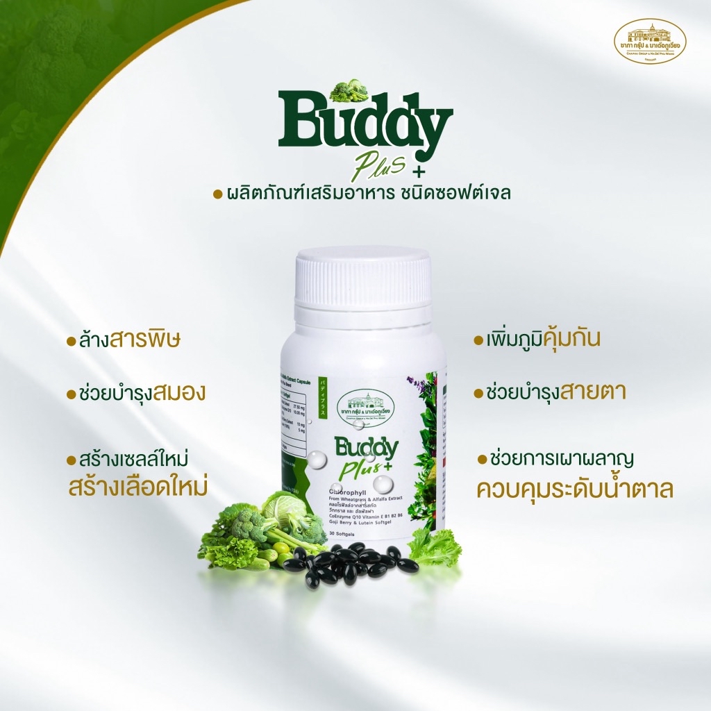 Alfalfa Buddy Plus Vegetable Seeds Chapha Group 1 Bottle 30 Tablets ...