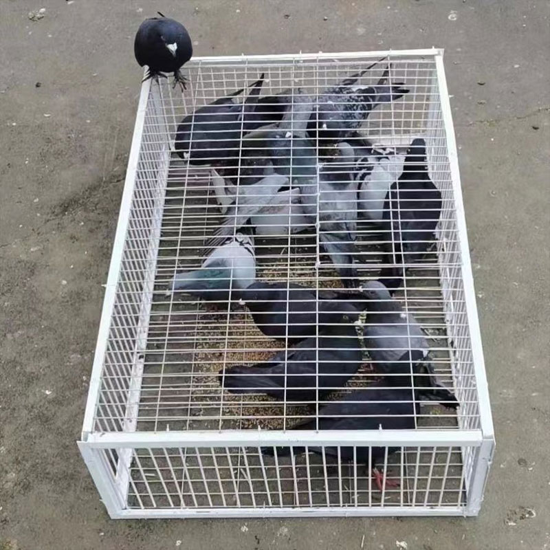4-Door Pigeon Cage Stainless Steel Swing Door 40x30x26 Cm. For Pigeons ...