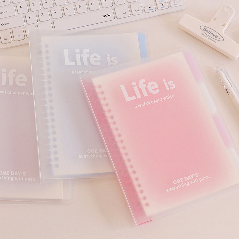 Ohaya D307 A5/B5 Powder blusher Loose Leaf Notebook 20/26 Ring Binder THREE COLOR | Shopee ...