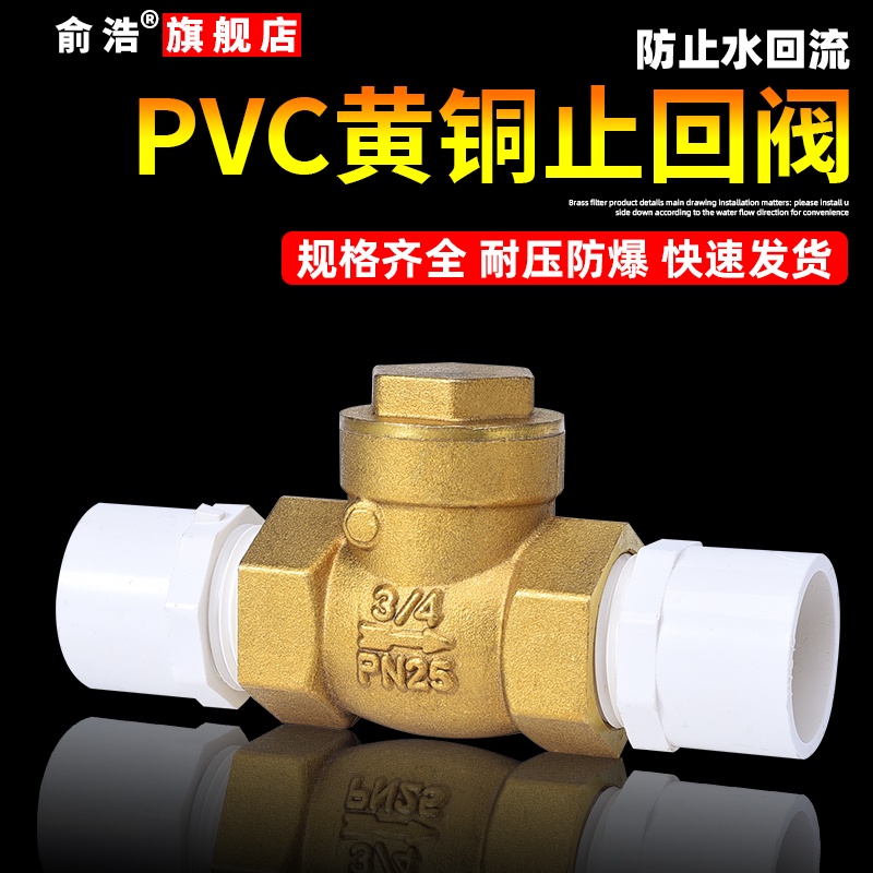 Ready Stock Check Valve Check Valve Check Valve PVC Check Valve 4/6 ...