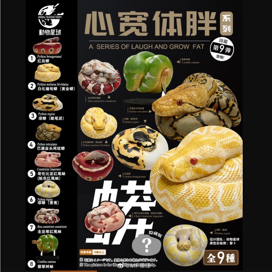 Animal Planet Heart Wide Body Fat No. 9 Python Chapter Red Blood Python ...