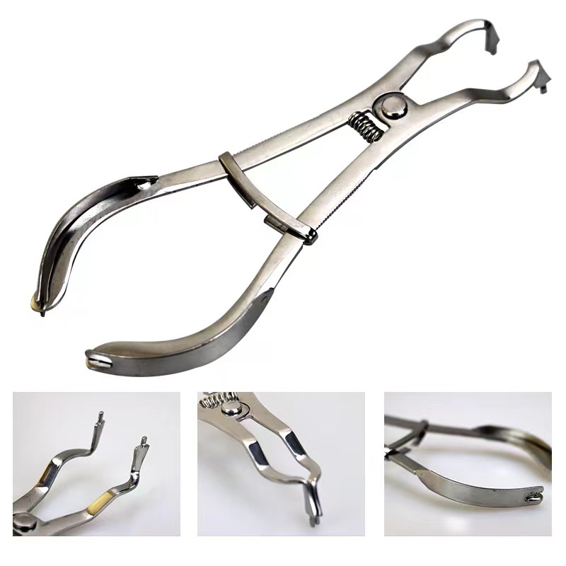 1Pc matrix with molding clip Matrix pliers Cross section stainless ...