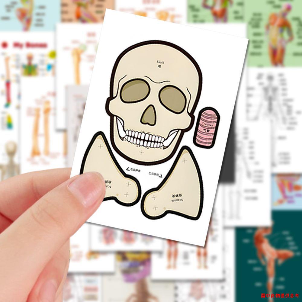 108 Sheets Human Analysis Stickers Bone Structure Medical Students ...