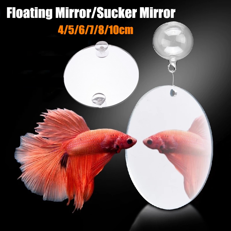 Acrylic Aquarium Betta Mirror Fish Tank Floating Mirror For Fish Betta ...