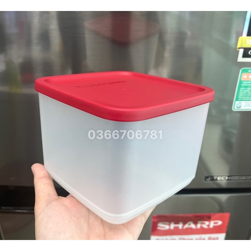 Medium Square Round clear food storage box | Shopee Philippines