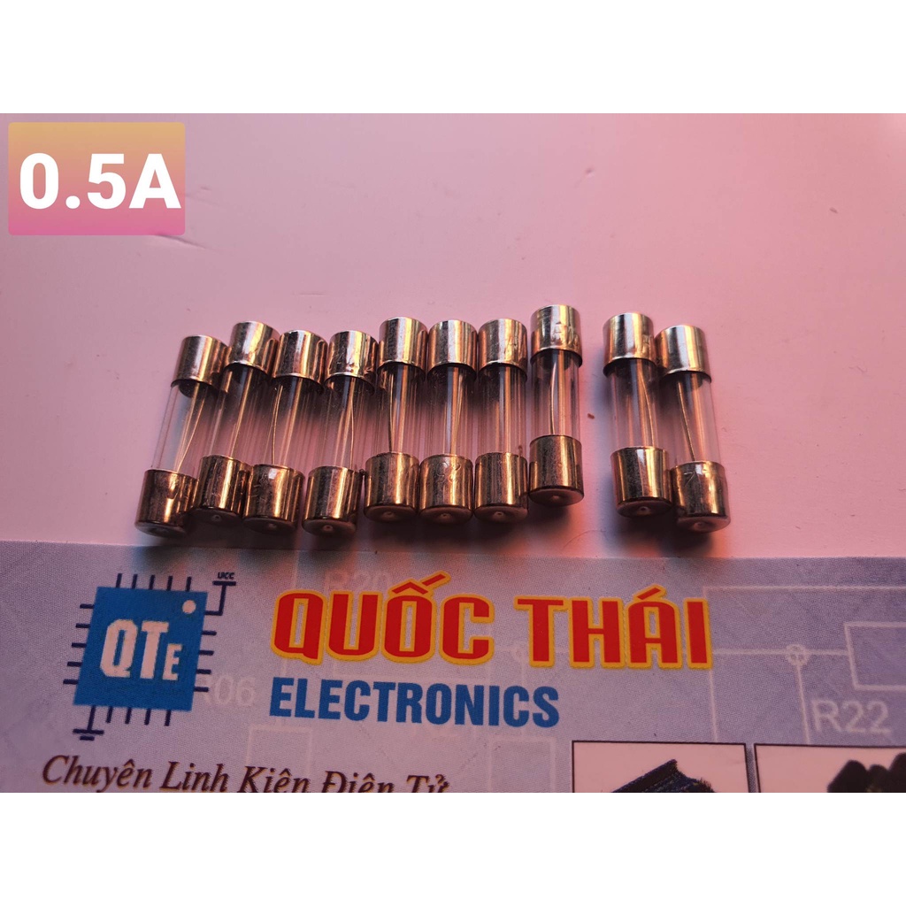 Combo of 10 0.5A fuses, size 5x20mm | Shopee Philippines