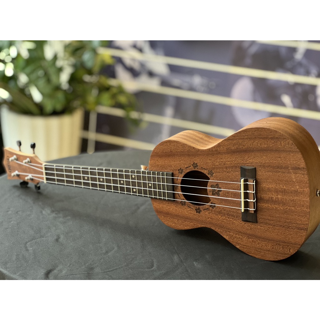 Ukaku C10F Concert Ukulele (Real Photo) - Genuine Import, Sol.G ...