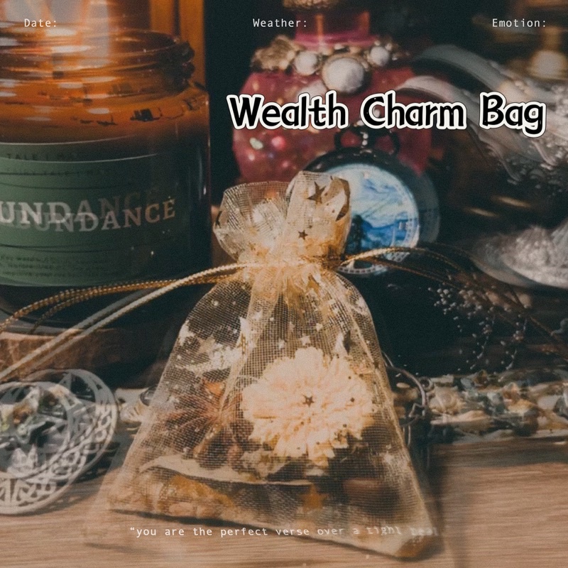 Wealth Charm Bag - Lucky Bag attracts prosperity in homes and shops ...